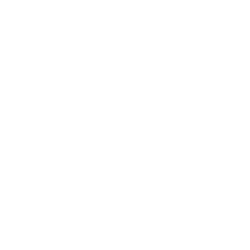 Chucktown T - Original Charleston apparel